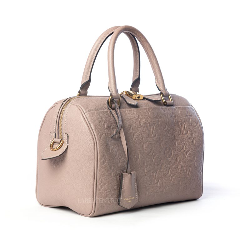 Louis Vuitton Small Leather Bagster | semashow.com